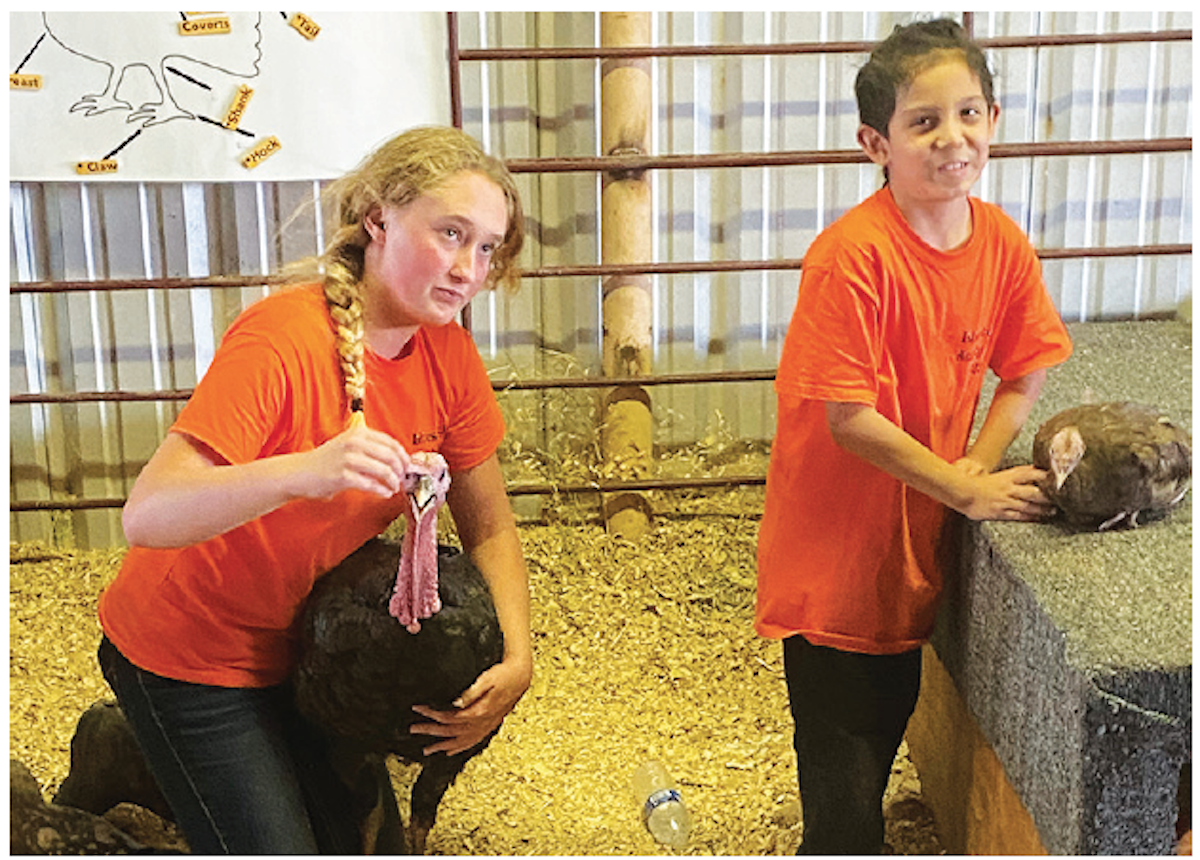 4-H Livestock Activity Day - Patagonia Regional Times