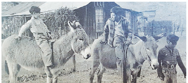 Remembering Harshaw - Patagonia Regional Times