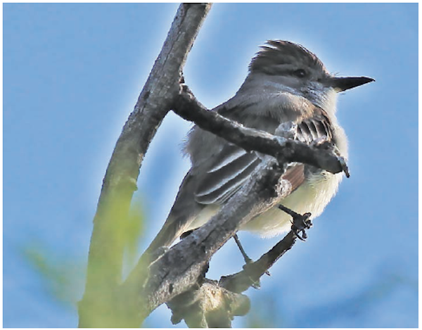 Poem: "Crossing Over the Stream" by Robert Druchniak - Patagonia ...