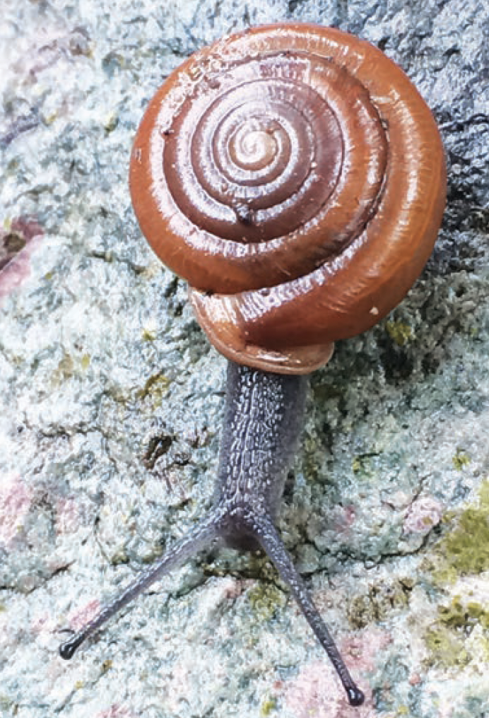 Elgin Research Ranch Lecture Series/Potluck Dinner Resumes - Patagonia ...