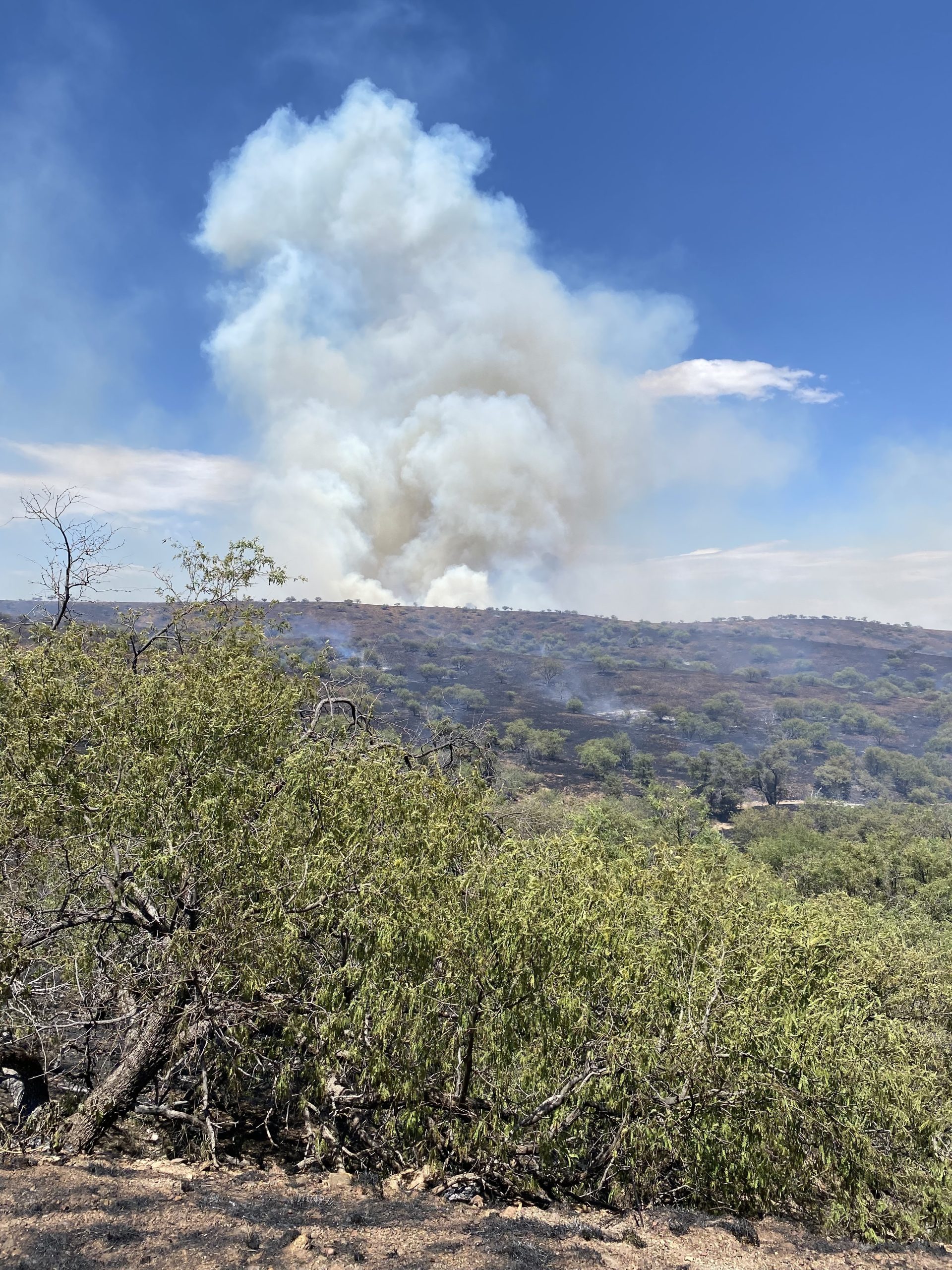 Oak Wildfire - Current Status - Patagonia Regional Times