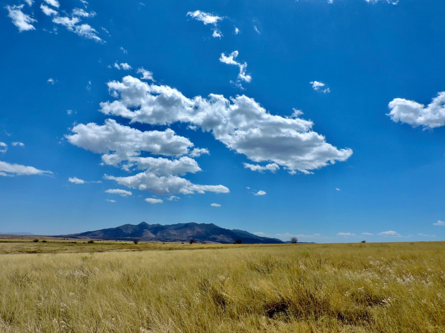 The PRT Newsletter for the Week of March 26, 2025 - Patagonia Regional ...