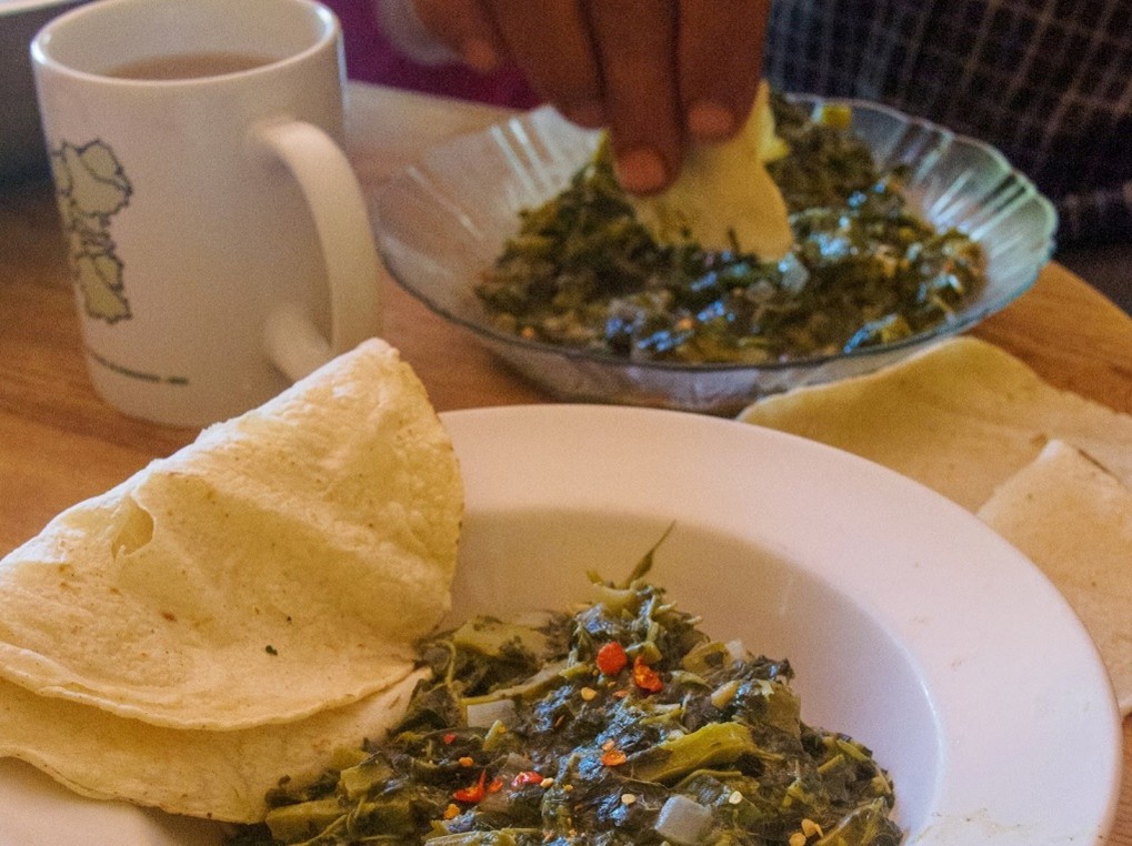 Summer Cooking With Native Plants - Patagonia Regional Times