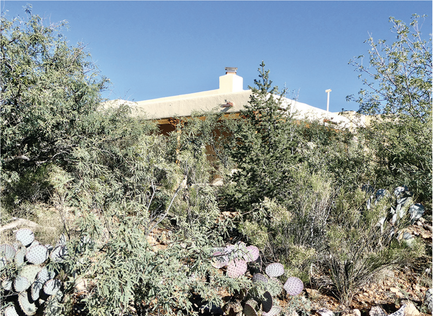 Nature journeys: Build your own national park! - Patagonia Regional Times
