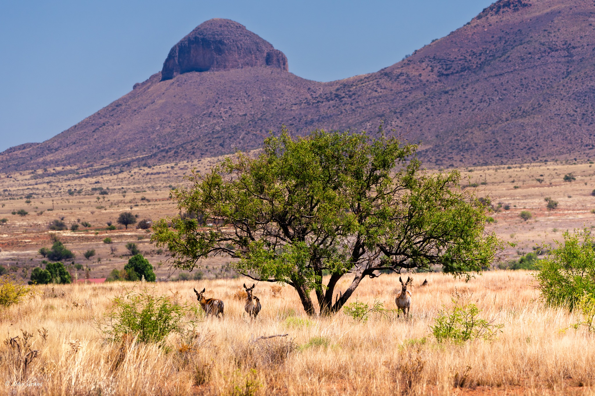 The PRT Weekly News Bulletin for May 27-June 2, 2026 - Patagonia ...